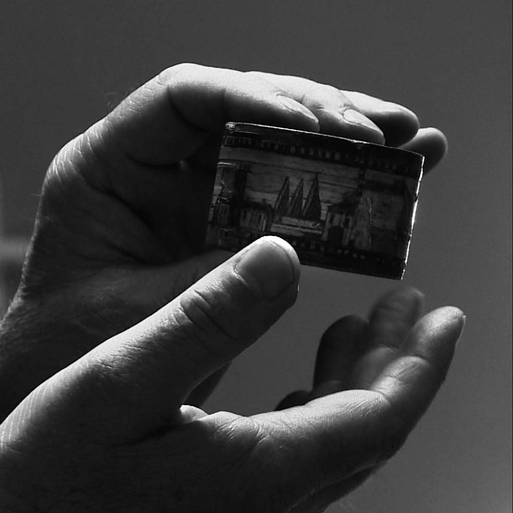 Visuel - Fleurs sauvages | ALCA Nouvelle-Aquitaine