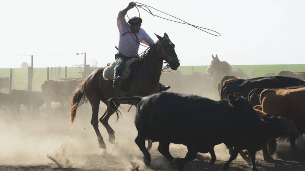 Visuel - Gaucho Basko | ALCA Nouvelle-Aquitaine