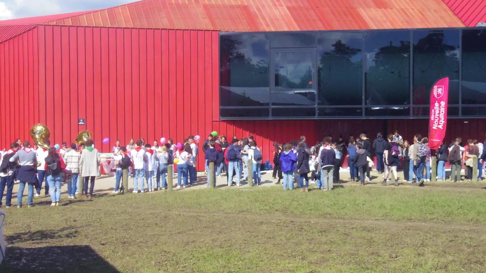 Nouveau Festival : lancement de la prochaine saison | ALCA Nouvelle ...