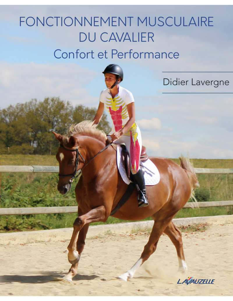 Fonctionnement musculaire du cavalier : confort et performance | ALCA ...