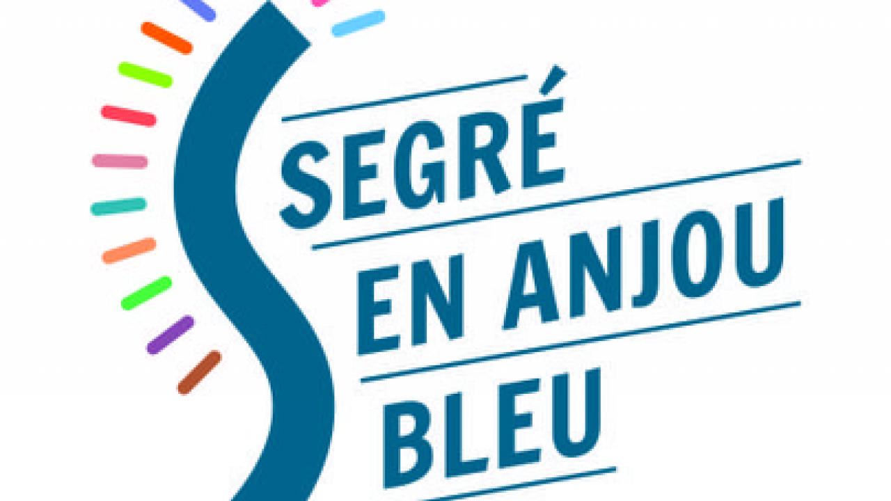 La médiathèque de Segré-en-Anjou Bleu propose une résidence pour un(e ...