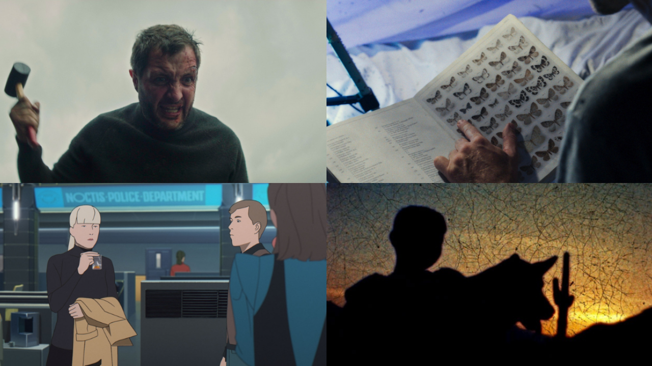 Les sorties en salle du mois de novembre 2023 | ALCA Nouvelle-Aquitaine