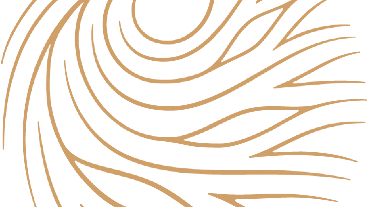 Installation du studio d’animation danois Sun Creature à Bordeaux ...