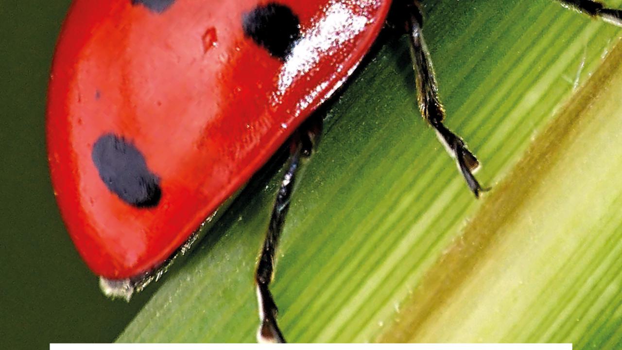 Petit déjeuner des éditeurs – spécial bande dessinée | ALCA Nouvelle ...