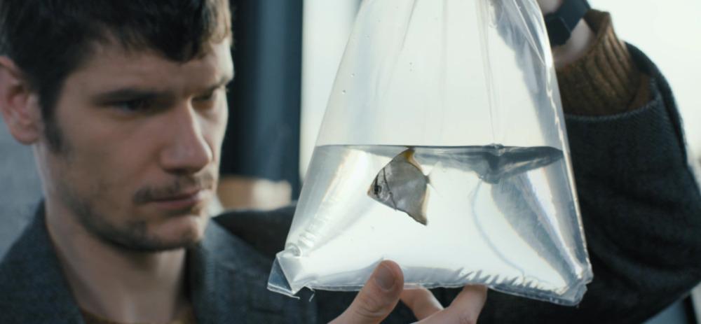 Projections du court métrage "Le Poisson qui rêve des beaux océans ...